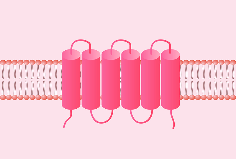 "膜杰作"—多次跨膜靶点蛋白开发技术平台及系列产品 | ACROBiosystems