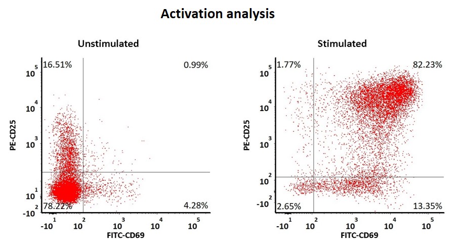 GMP ActiveMax® Human T cell Activation/Expansion CD3/CD28 Beads | ACROBiosystems百普赛斯生物科技股份有限公司