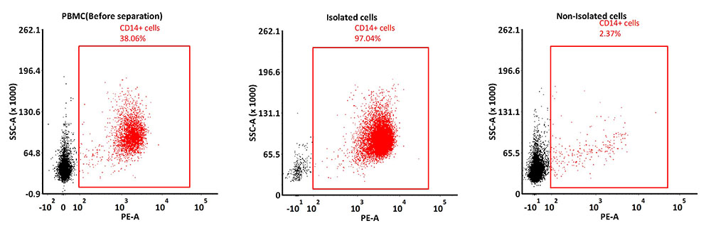 Cellectra Human CD14 nBeads, premium grade (for cells) | ACROBiosystems ...