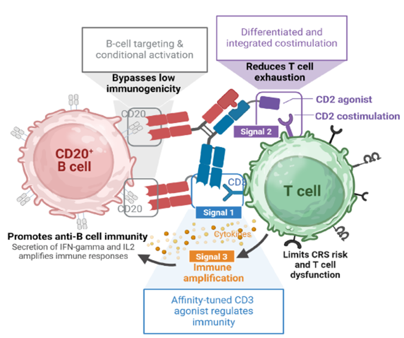 TCE内卷时代，共刺激CD2或称为超级新星 | ACROBiosystems百普赛斯生物科技股份有限公司